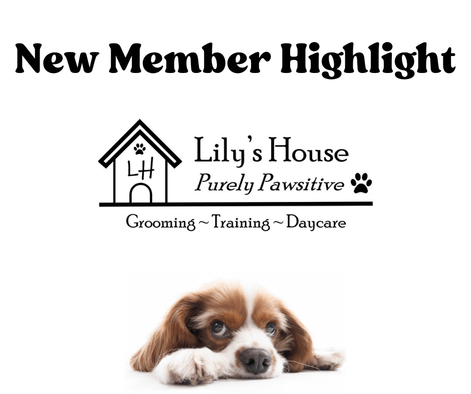 New Member Highlight Lilys House Columbia Montour Chamber Of Commerce